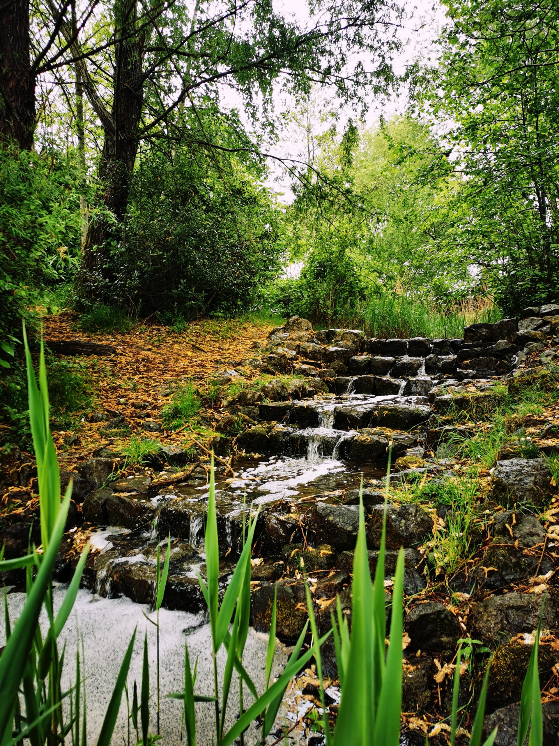 Celebrating Summer – Everything to See and Do in Oakley Vale - Oakley Vale